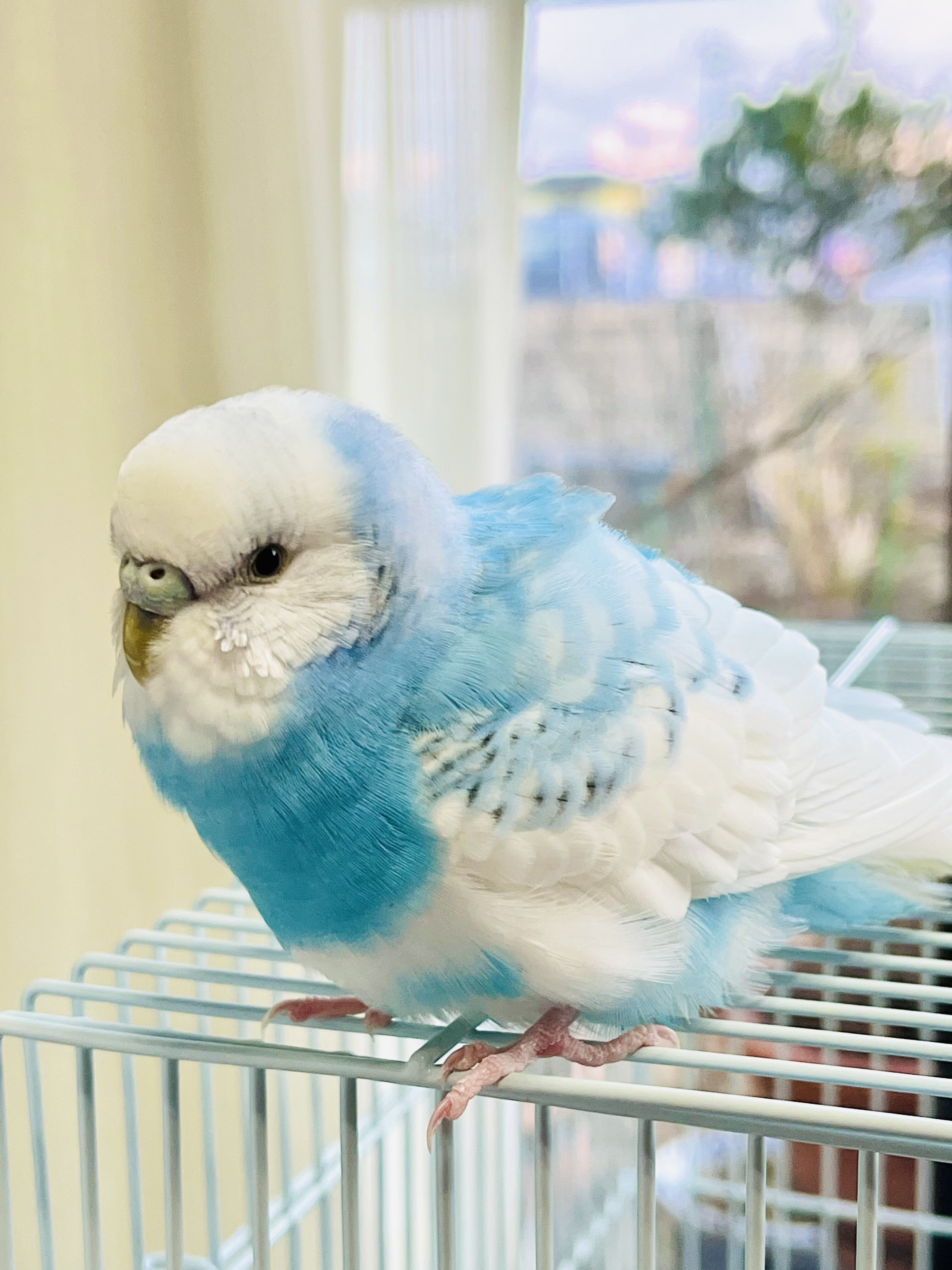 技術力と人間力で信頼を築く。USEN-ALMEXのフィールドエンジニア | 採用サイト